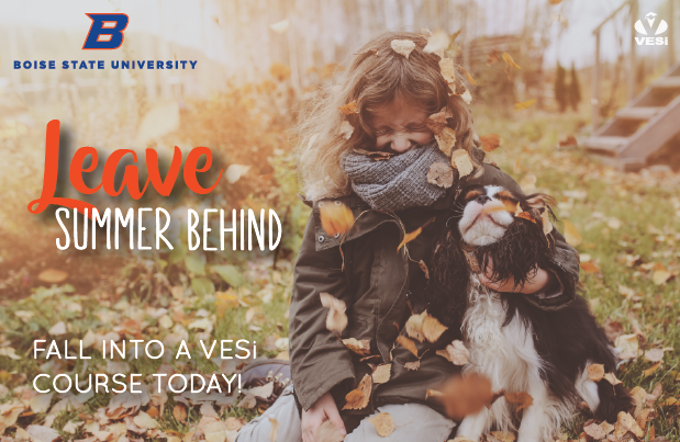 Online Continuing Education Courses for Educators